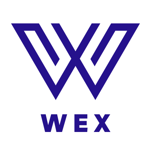 Wex - Software Development for Startups & Innovative Companies